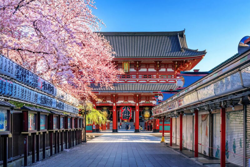 Tokyo City Private Tour With English Speaking Driver - Optional Stops