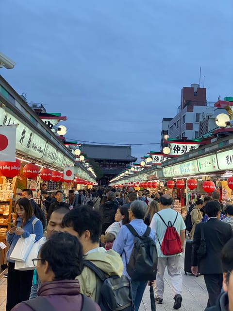 Tokyo City Tour Day Tour With English Speaking Driver - Tour Structure