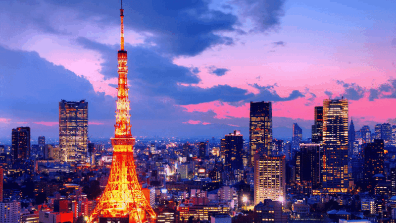 Tokyo: Customized Private Tour With Driver - Customization and Group Size