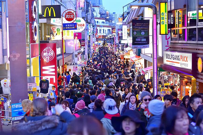 Tokyo Day Tour With English/Hindi Speaking Driver - Accessibility and Participation