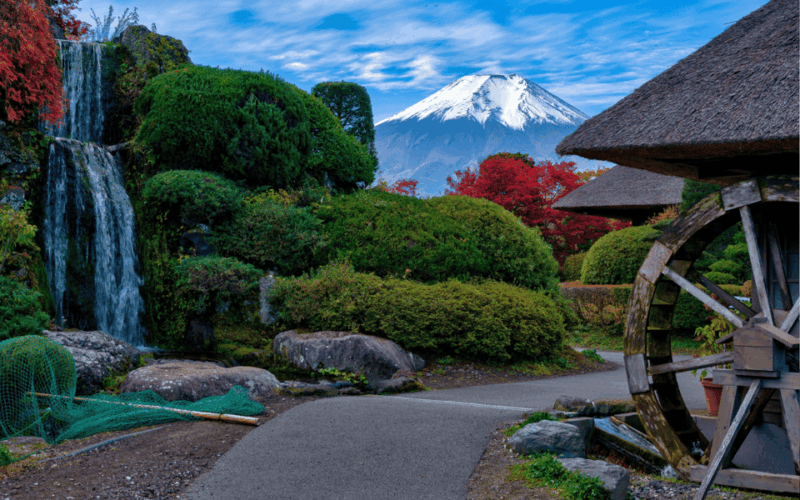 Tokyo Day Trip -Mount Fuji Private Tour From Tokyo - Mount Fuji 5th Station