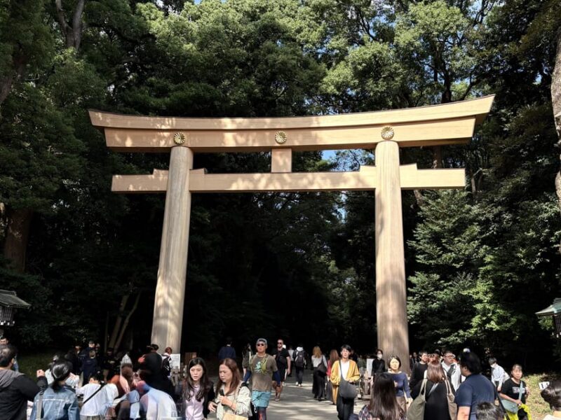 Tokyo Day Trip With Local Guide and Private Car - Highlights and Experience