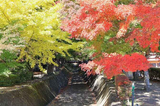 Tokyo ⇔ Lake Kawaguchi Bus Tickets (One-way/Round-trip) - Tour Inclusions and Restrictions