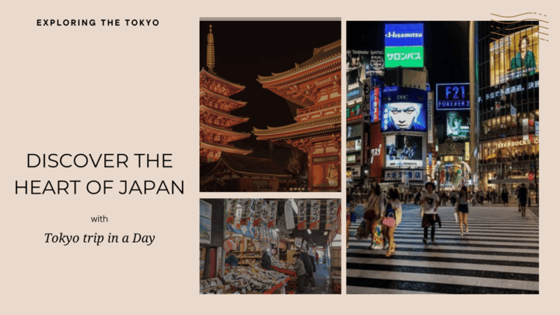 Tokyo Full Day Private Tour With Guide - Transportation and Comfort