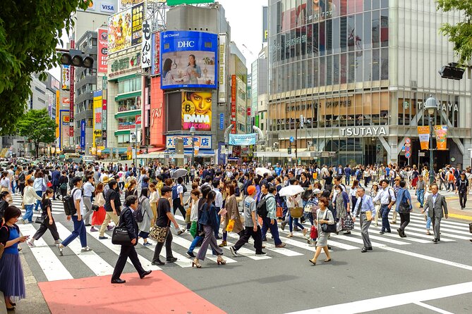 Tokyo Half-day Customized Private Tour - Accommodations and Accessibility