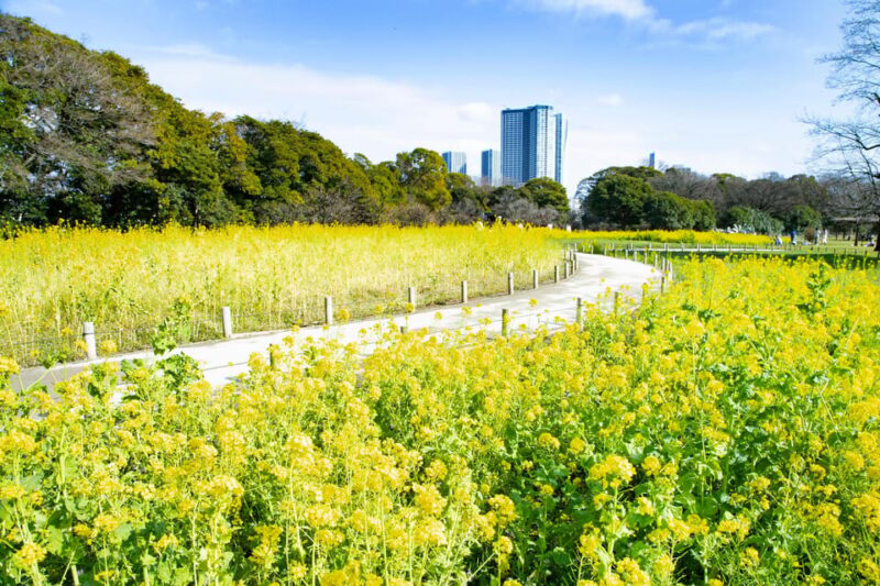 Tokyo: Japanese Garden Walking Tour With Tea and Sweets - Exploring the Gardens History and Features
