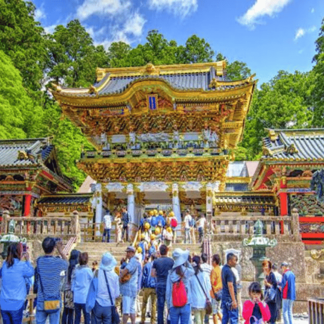 Tokyo: Luxury Nikko Private 1 Day Tour Low Price Guaranteed - Customizable Itinerary Options