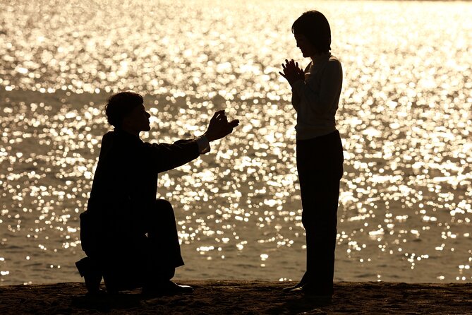 Tokyo Marriage Proposal Planning - Accessibility and Participation