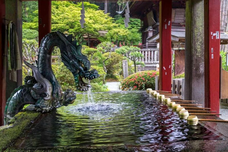 Tokyo: Mount Fuji and Hakone Private Sightseeing Day Trip - Inclusions and Transportation