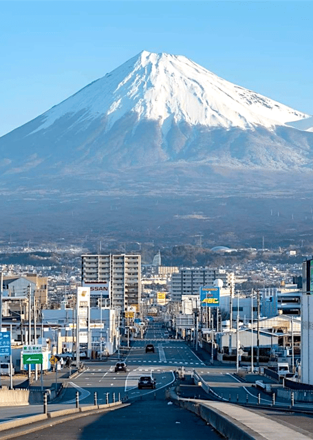 Tokyo: Mount Fuji Five Lakes Hakone Ropeway Guided Day Trip - Experience and Activities