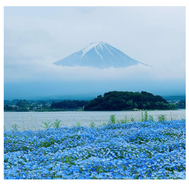 Tokyo: Mount Fuji & Hakone Private Car Day Tour Lowest Price - Important Information