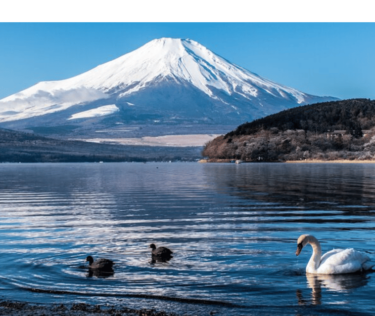 Tokyo: Mount Fuji & Hakone Tour By English Speaking Guide - Pickup and Accessibility