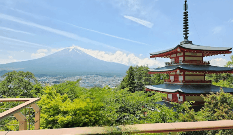 Tokyo: Mount Fuji Sightseeing Tour English Speaking Driver - Transportation Details