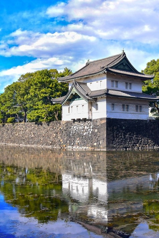 Tokyo: Private City Highlights Tour With Local Guide - Guide and Accessibility