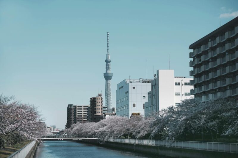 Tokyo: Private Customizable City Tour With Chauffeur - Services Provided
