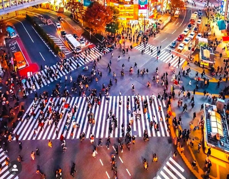 Tokyo Private Customizable Day Tour With a Guide - Tour Features
