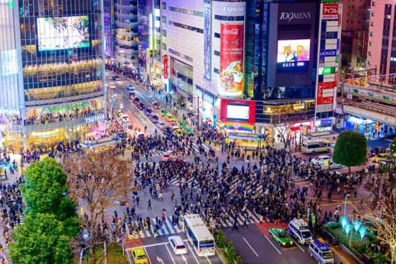 Tokyo: Private Guided Tour With Hotel Pickup and Drop-Off - Tour Customization and Experience