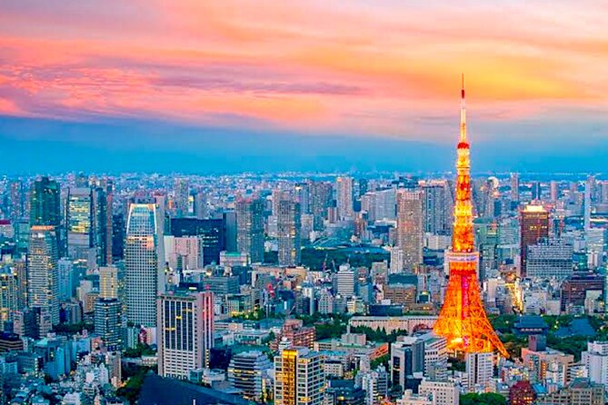 Tokyo Private Guided Tour With Hotel Pickup and Drop off - Accessibility and Participation