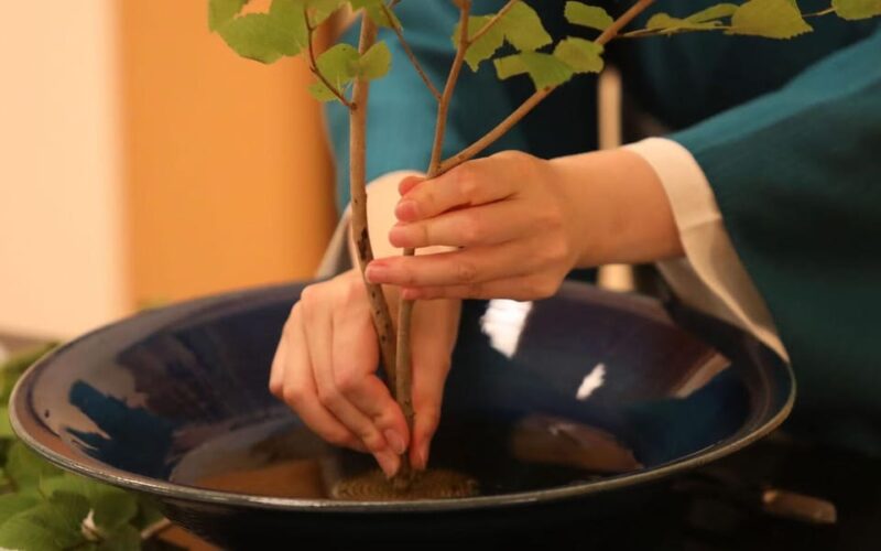 Tokyo: Private Japanese Traditional Flower Arrangement - Instruction and Language