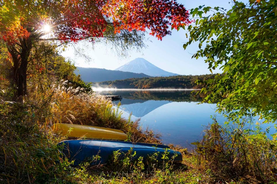 Tokyo: Private Mount Fuji Tour With 5 Lakes - English-Driver - Inclusions and Accessibility