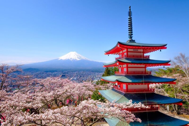 Tokyo: Private Mt.Fuji Day Trip With English-Speaking Driver - Driver and Experience