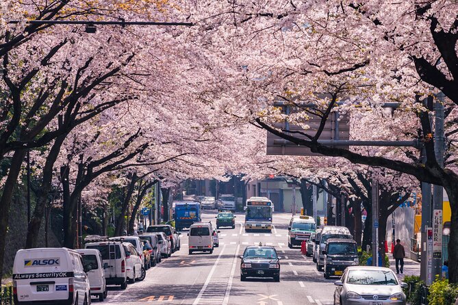 Tokyo Private Sightseeing Tour With English Speaking Chauffeur - Booking and Cancellation