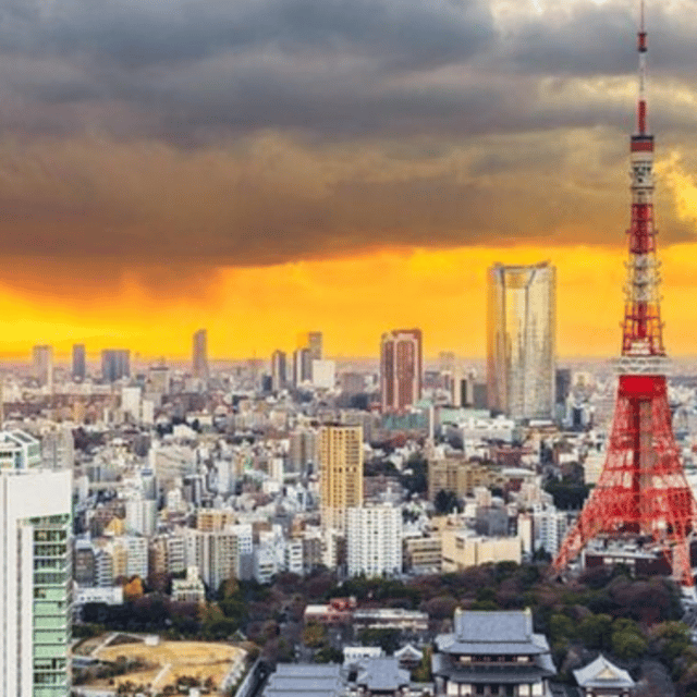 Tokyo: Private Tokyo City Day Tour Low Price Guaranteed - Pickup and Drop-off Information