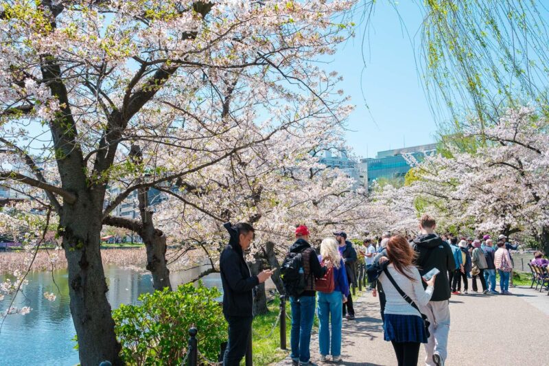 Tokyo Private Tour: Best Places With a Local - Important Information and Guidelines