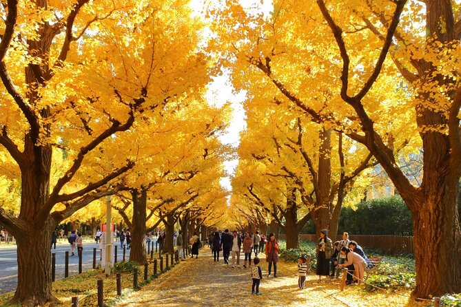 Tokyo Self-Guided Audio Tour - Booking and Access