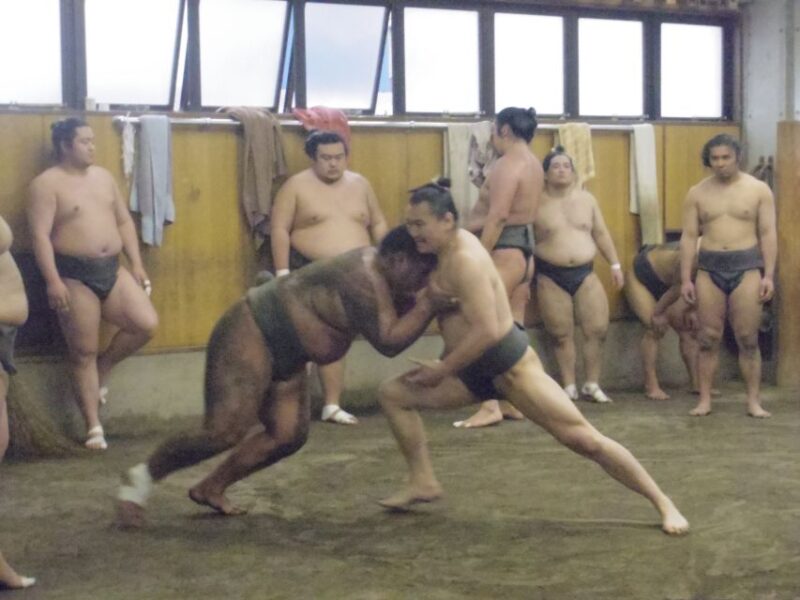 Tokyo: Sumo Morning Practice Viewing Tour - Participant Information