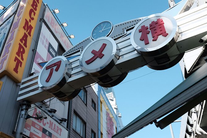 Tokyo Tailored 4 Hours Private Guided Tour - Accessibility and Recommendations
