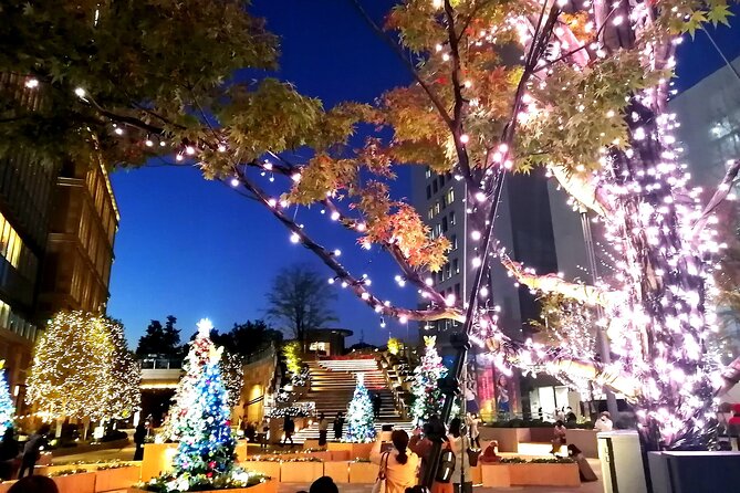 Tokyo Winter Illumination Ebike Tour - Meeting Information