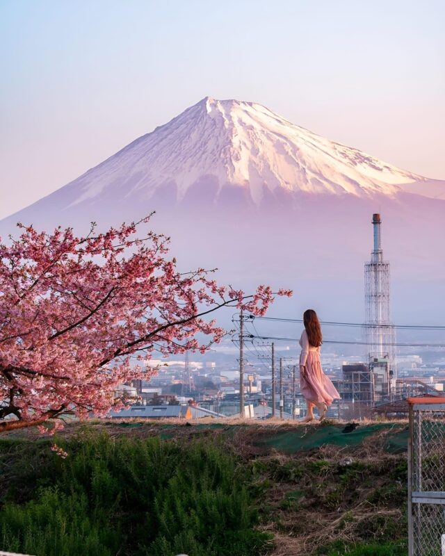 Tokyo:Mount Fuji & Hakone Customized Tour With English Guide - Optional Customizations
