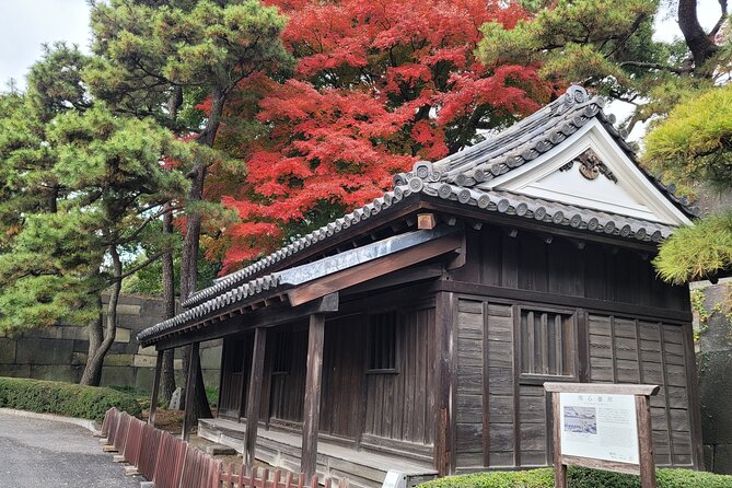 Tokyos Imperial Palace & Nihonbashi Tour - Exploring Historical Nihonbashi