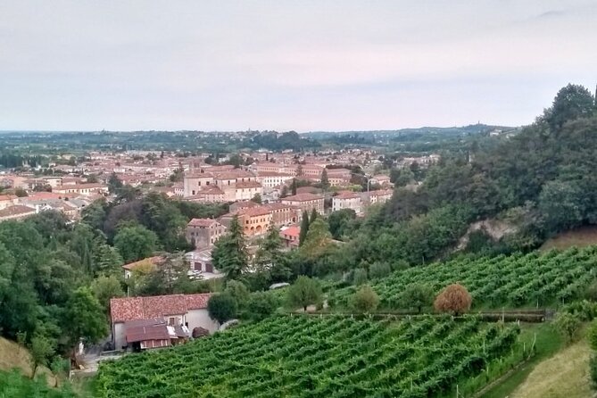 Tour in the Prosecco Hills Tour From Padua - Reviews and Feedback