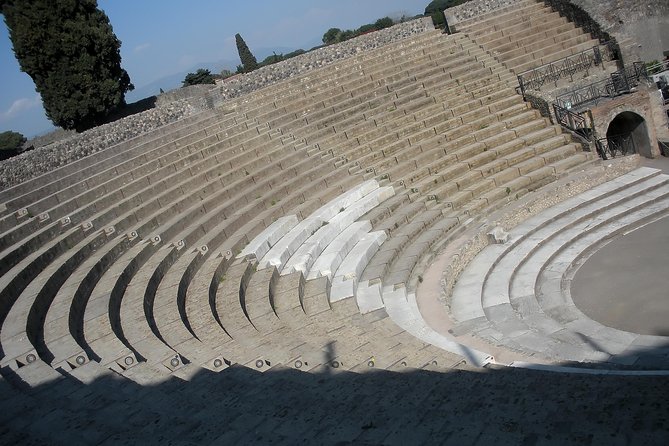 Tour in the Ruins of Pompeii With an Archaeologist - Accessibility & Requirements