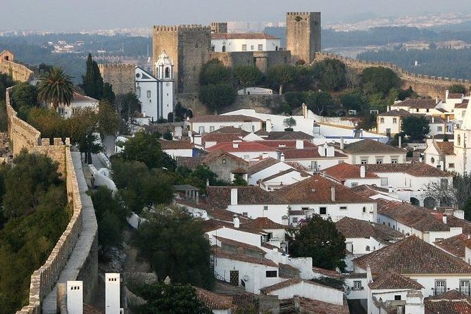 Tour / Transfer Lisbon /Porto /Porto/Lisbon With Several Stops - Tour Schedule and Accessibility
