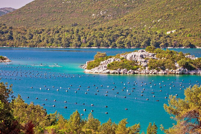 Transfer Dubrovnik to Split With Sightseeing in Ston Town - Comfortable and Convenient Transportation