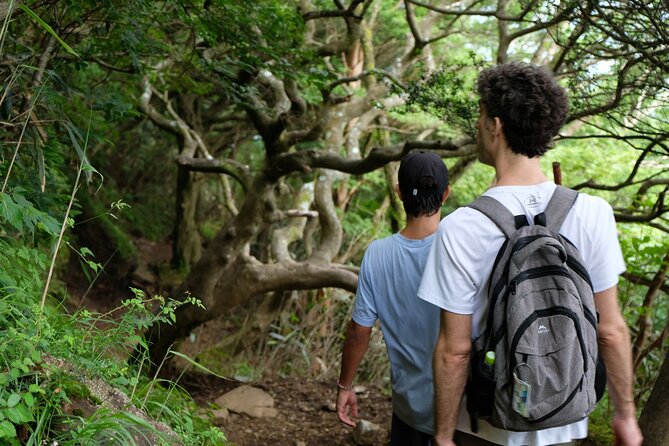 Traverse Outer Rim of Hakone Caldera and Enjoy Onsen Hiking Tour - Inclusions and Participant Requirements
