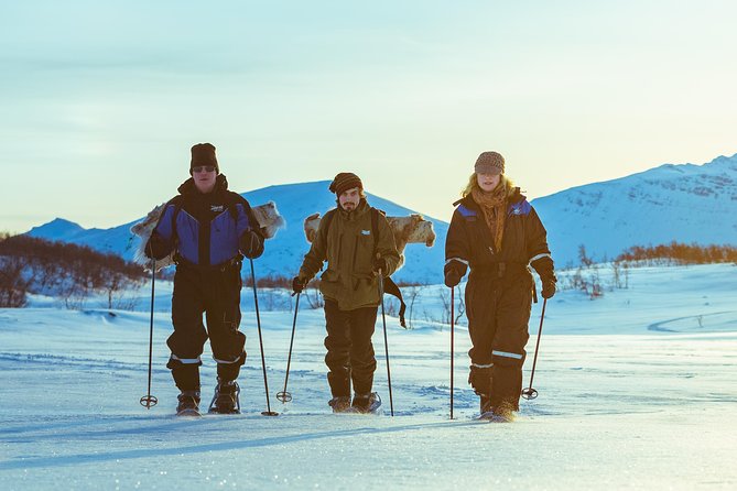 Tromso Guided Snowshoe Trip - Scenic Highlights of the Arctic Countryside