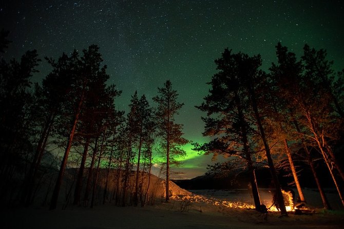 Tromsø: Small Group Northern Lights Hunt - Guided Support and Expertise