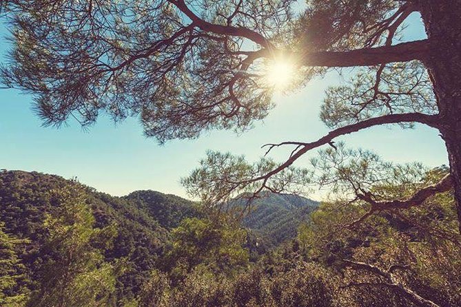 Troodos Jeep Safari: A Comprehensive Review - Customer Ratings and Feedback