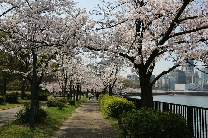 Ultimate Private Osaka Walking Experience - Walk With a Local - Tour Requirements and Accessibility