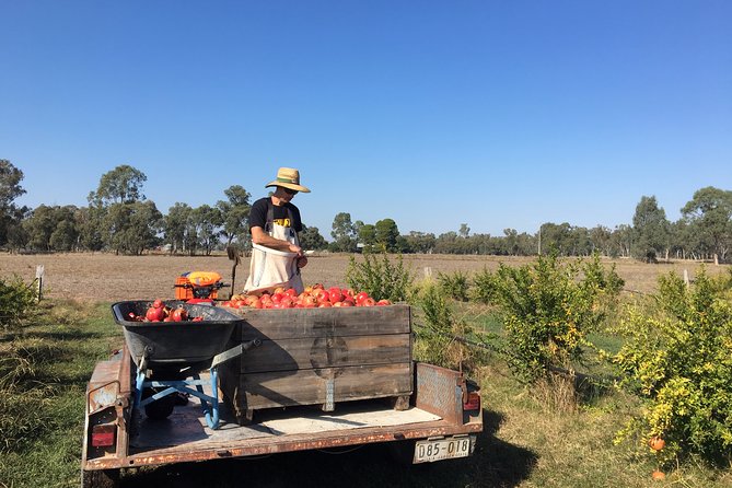 Unspoiled Spain for Foodies and Nature Lovers - Local Artisan Producers