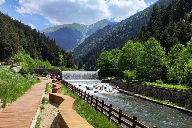 Uzungol Tour: Full-Day Nature Adventure With Tea Factory Visit - Experience Uzungol Lake