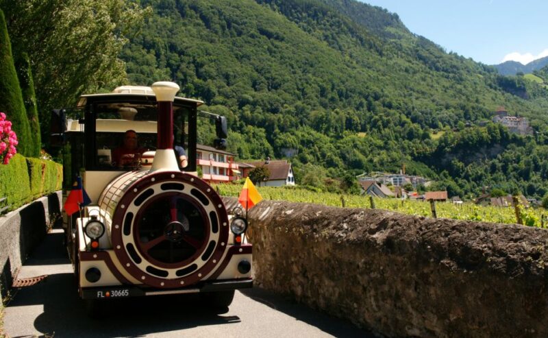 Vaduz: City Train Tour - Duration and Pricing