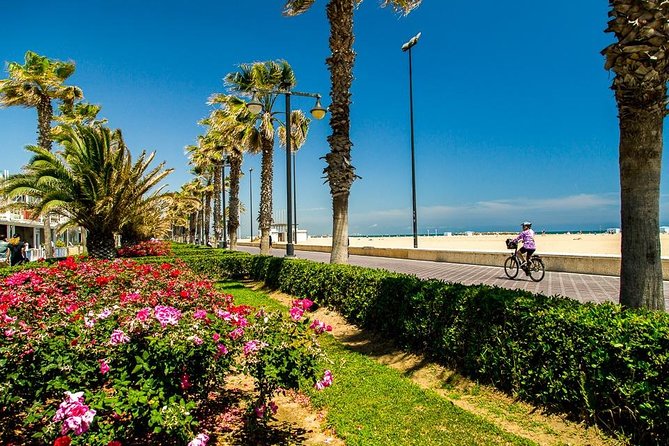 Valencia Highlights With Private Vehicle (Private Tour) - Exploring Iconic Landmarks