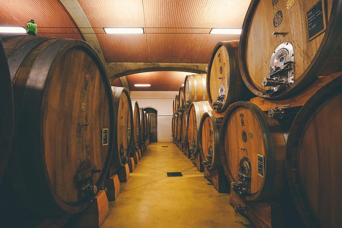 Valpolicella and Amarone Wine-Tasting Tour From Verona - Participant Information and Accessibility