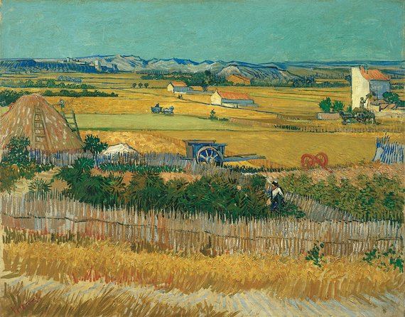 Van Gogh Museum Amsterdam Ticket and 1-Hour Canal Cruise - Cancellation and Refund Policy