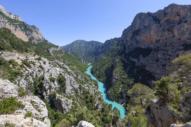 Verdon and Moustiers Ste-Marie Tour Review - Valensole and Plateau De Valensole